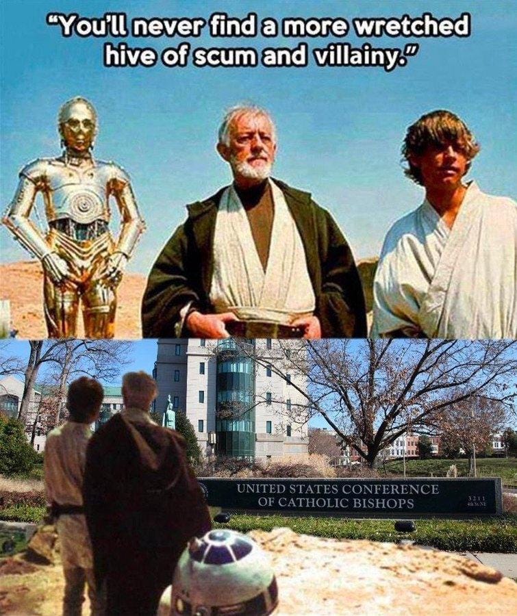 Ann Barnhardt - Edwin’s Newsletter #1