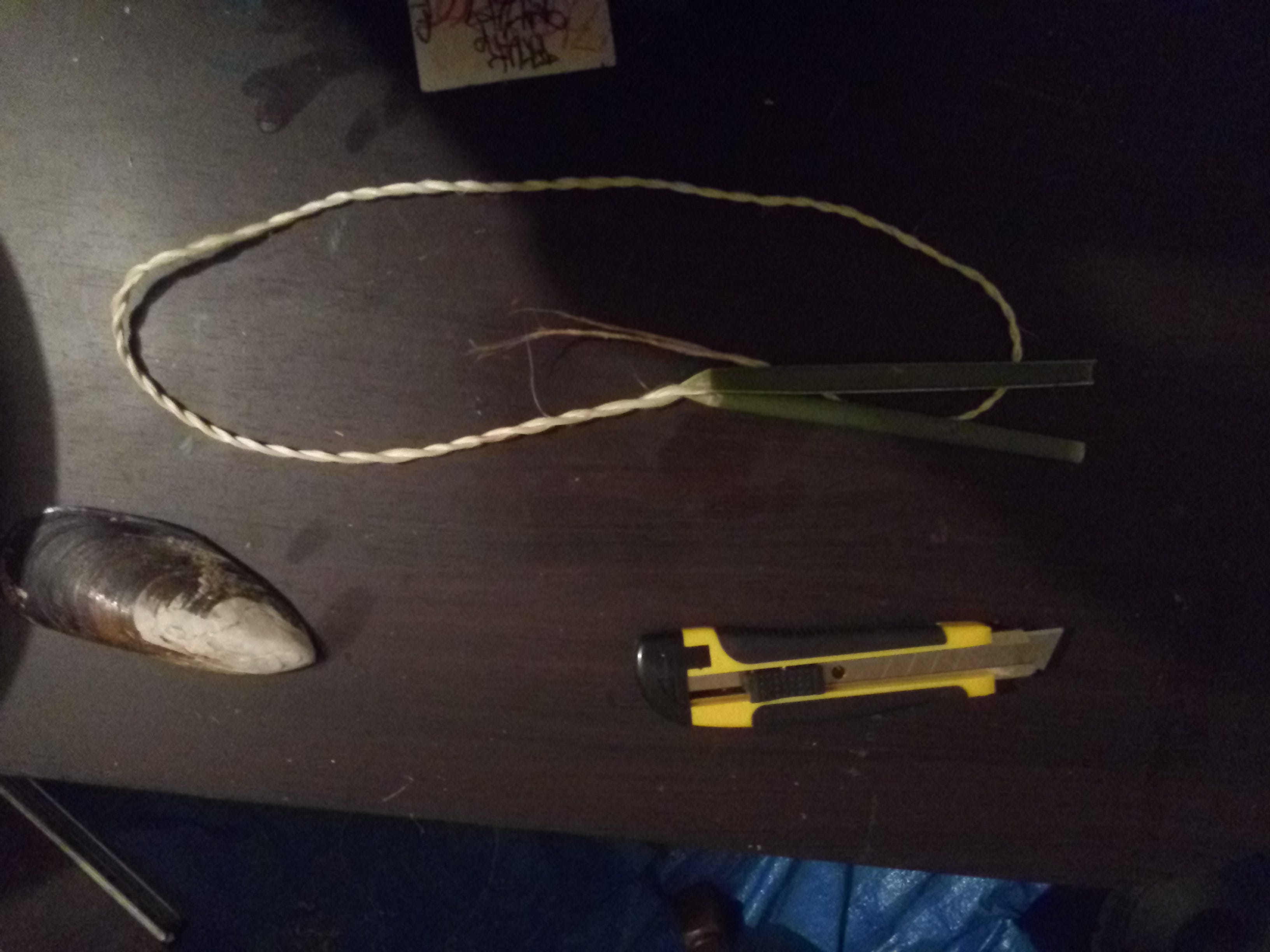 Weaving Life II - by Rex Landy - Reality Bites