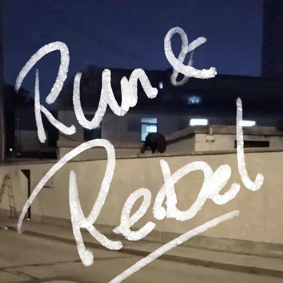 朋友们，Run and rebel：快逃以及反抗！ - by 放学以后after school