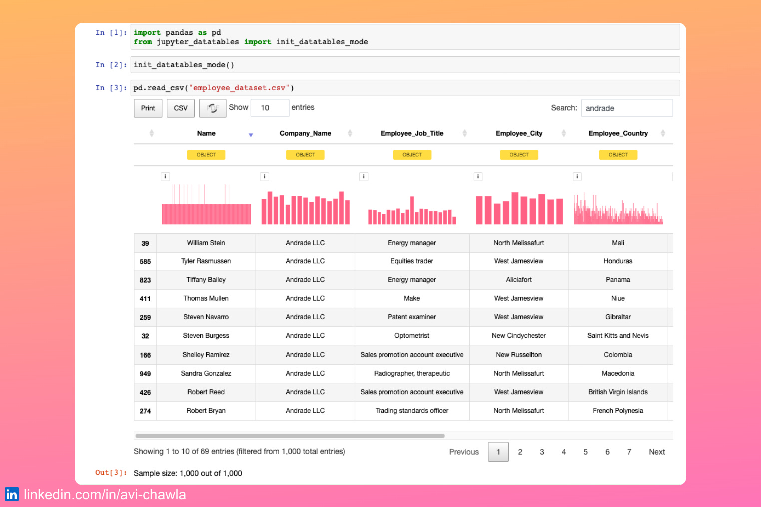 Stop Previewing Raw DataFrames. Instead, Use DataTables.