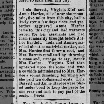 Fight among three North Mountain women makes the papers