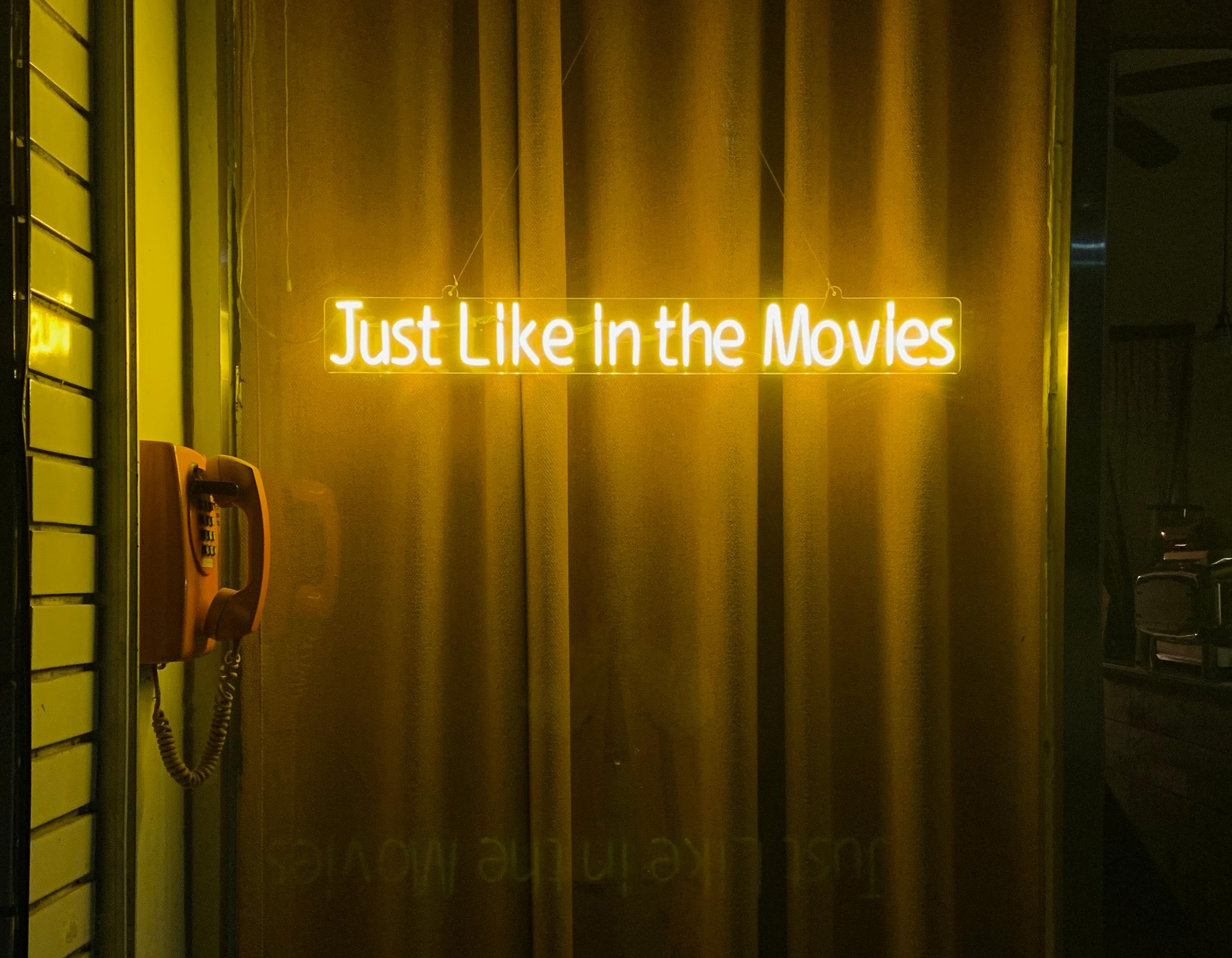 chasing ideal types - by Luisa do Amaral