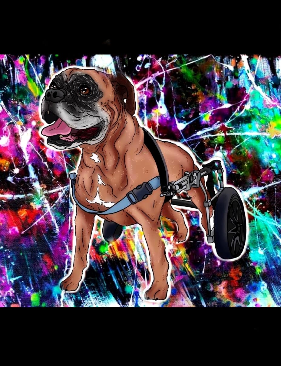 5149 & 1/2 Art | Substack