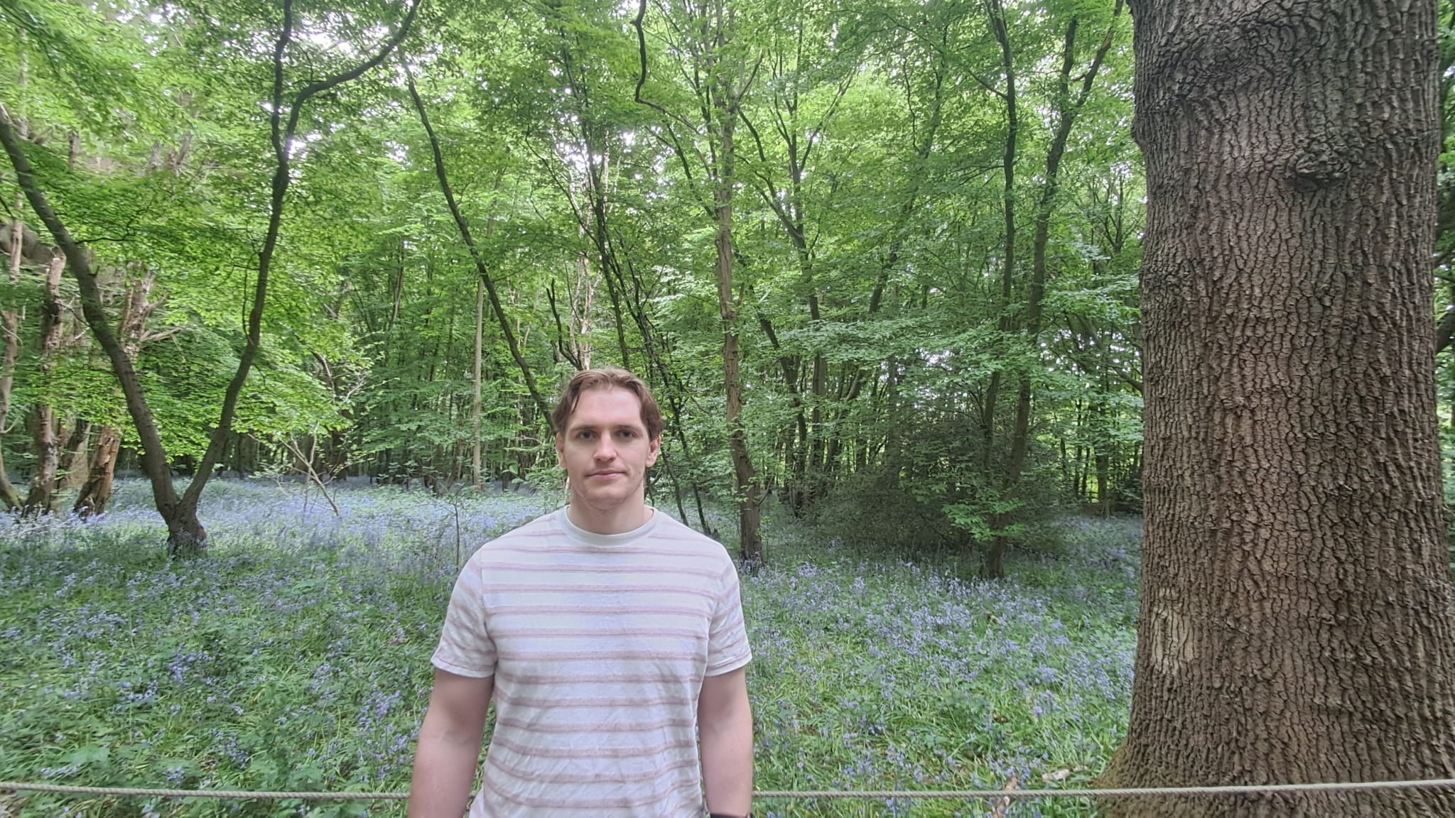 Nathan Ormond | Substack