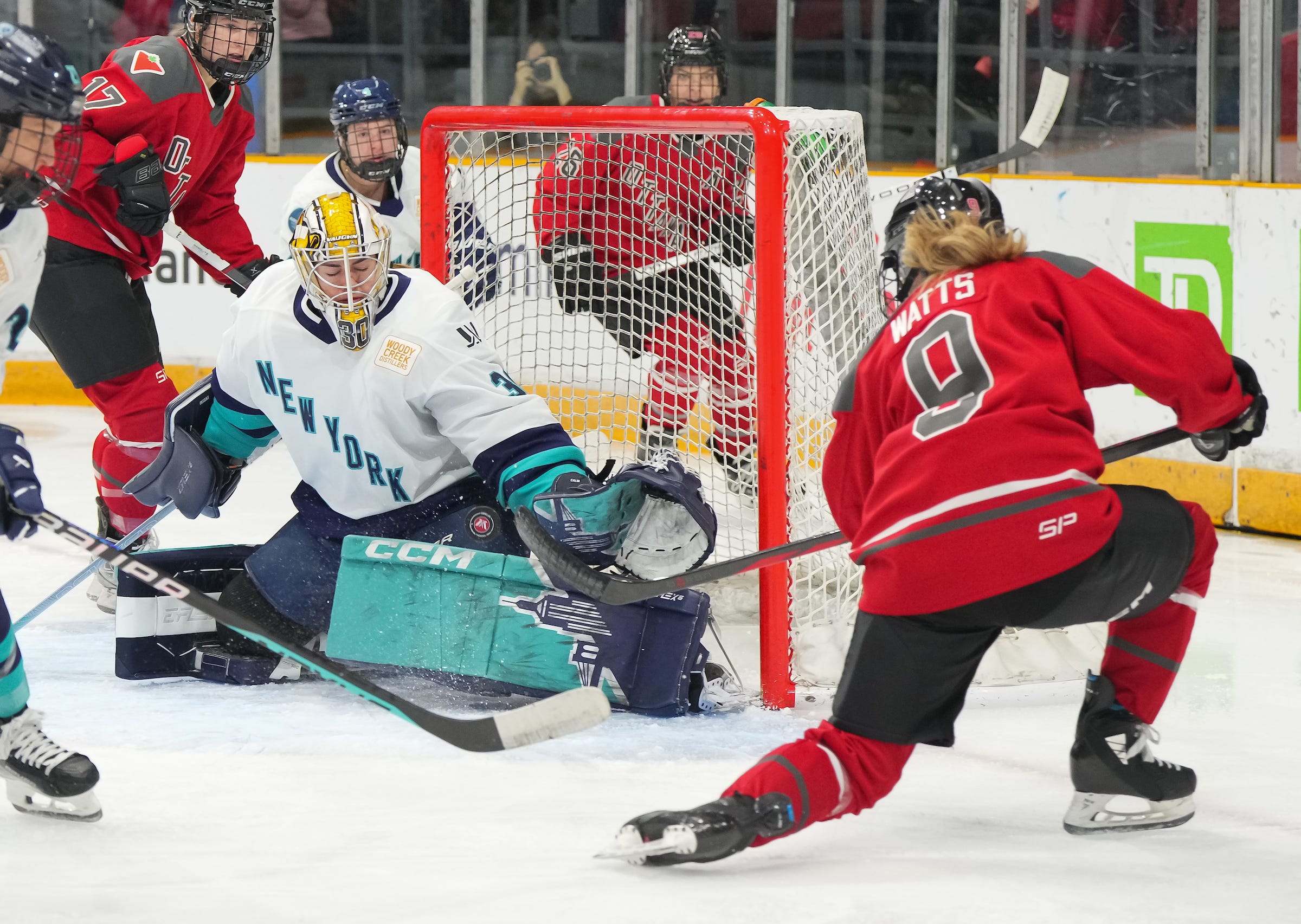How the PWHL Would Add to Arizona's History in Women's Hockey