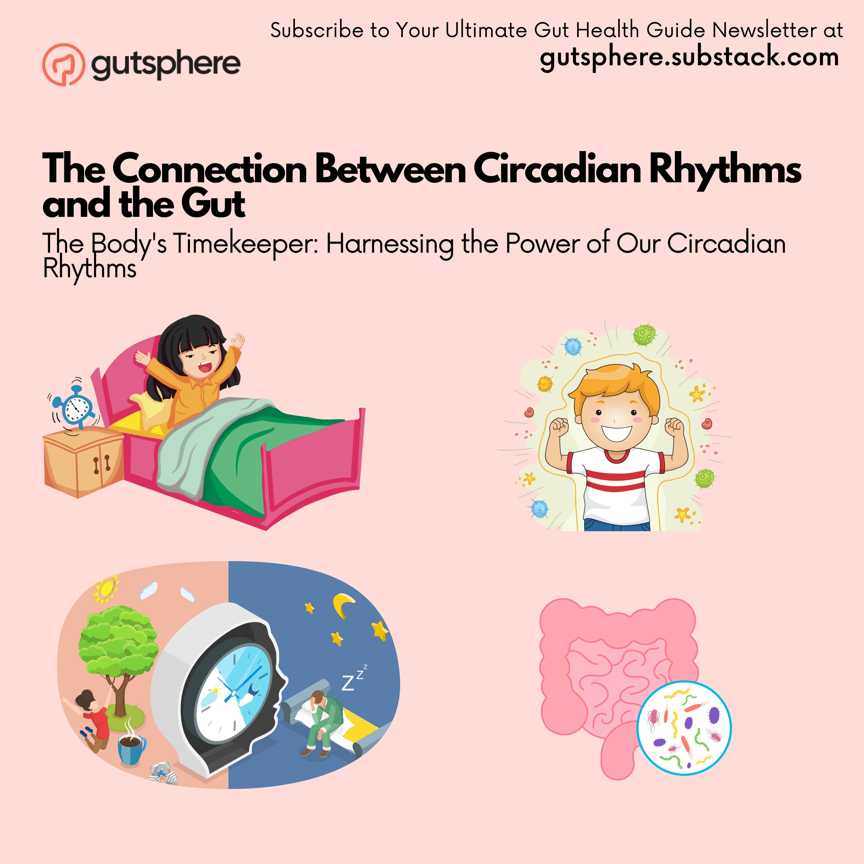 The Connection Between Circadian Rhythms and the Gut (part 4)