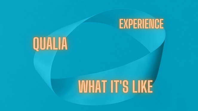 Qualia and the terminological Möbius strip