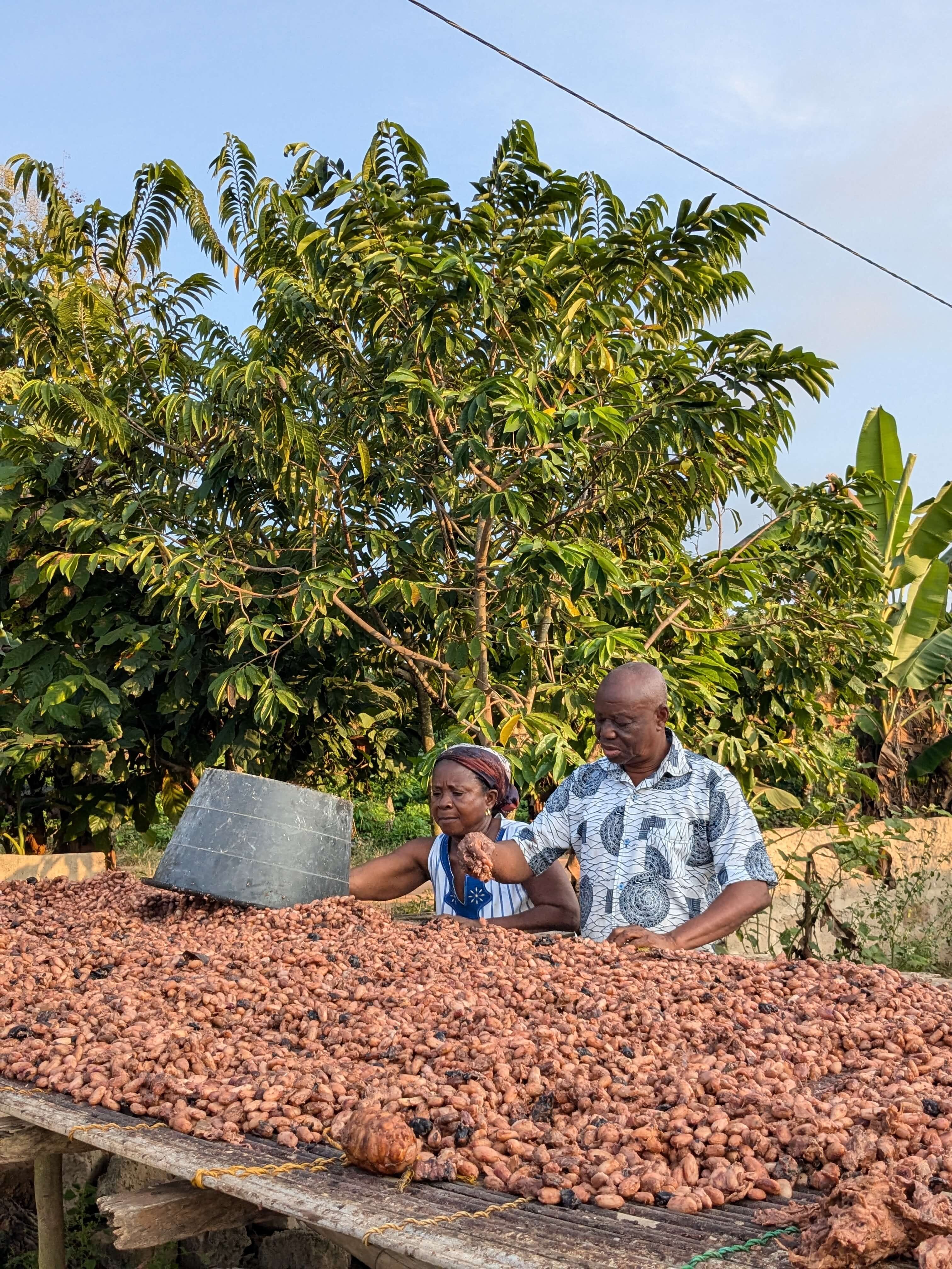 We Need Better Cocoa Farmer Stories - by Benjamin Setor