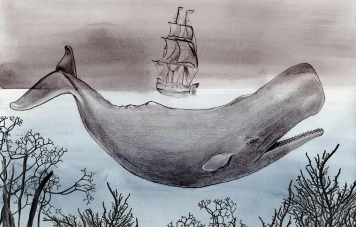 Moby Dick - In trauma we trust