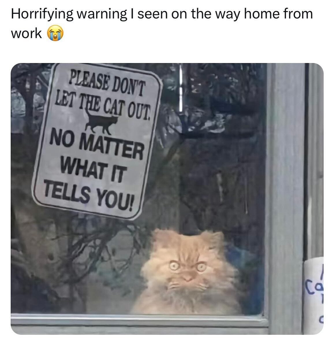 WARNING!!! - by Susan Taapken - Susan’s Substack