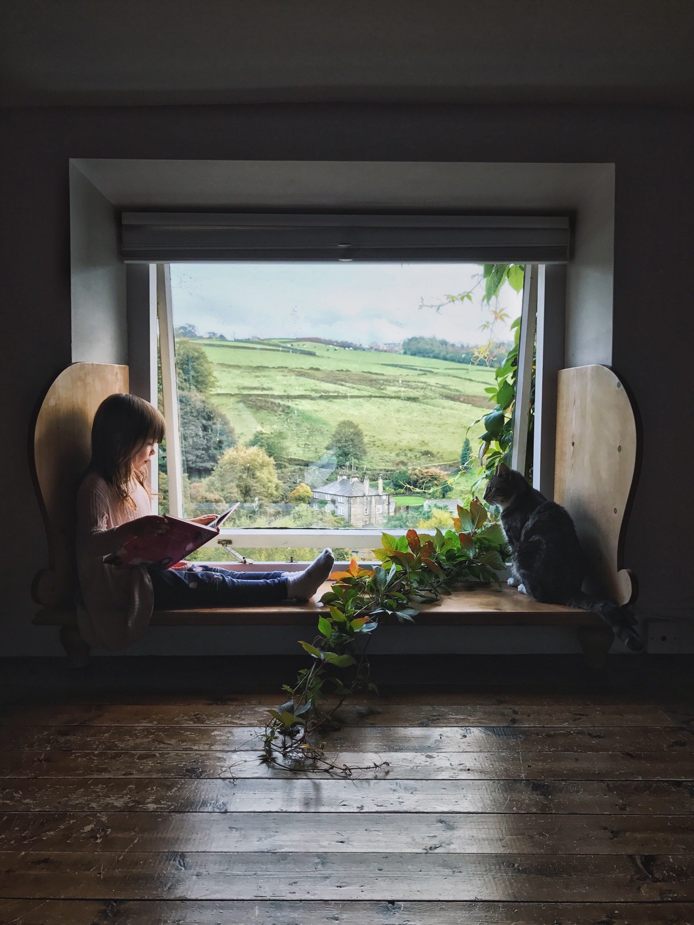 How to Write Without Words (or with fewer words, at least...)