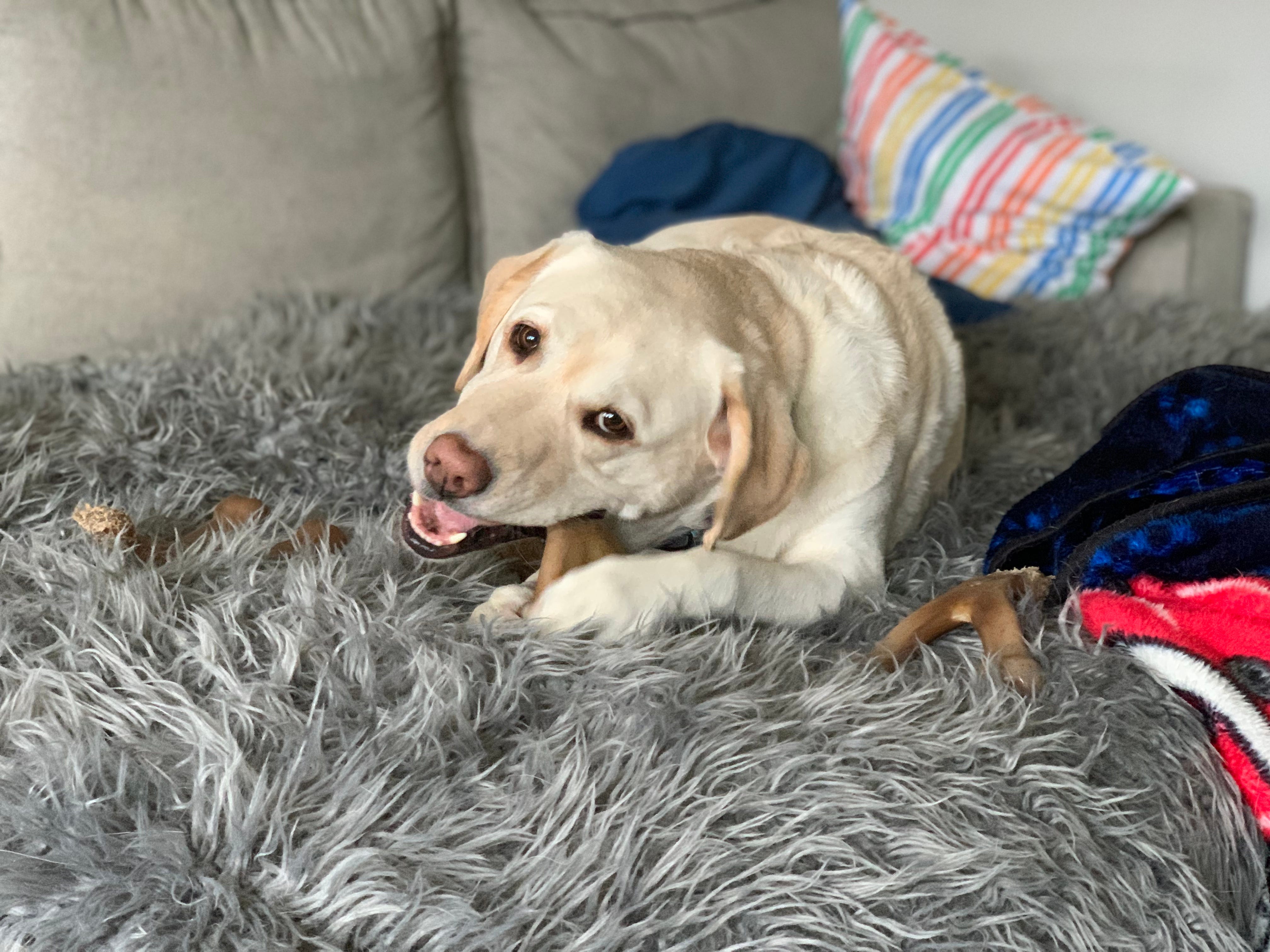 Is audience engagement right for you? - by Mandy Hofmockel