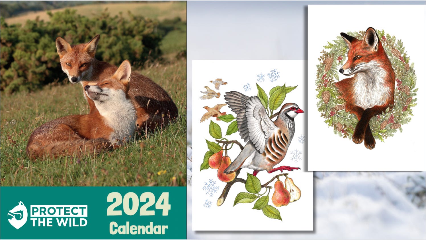 JAILED: Fox hunter given 18 months for almost killing saboteur