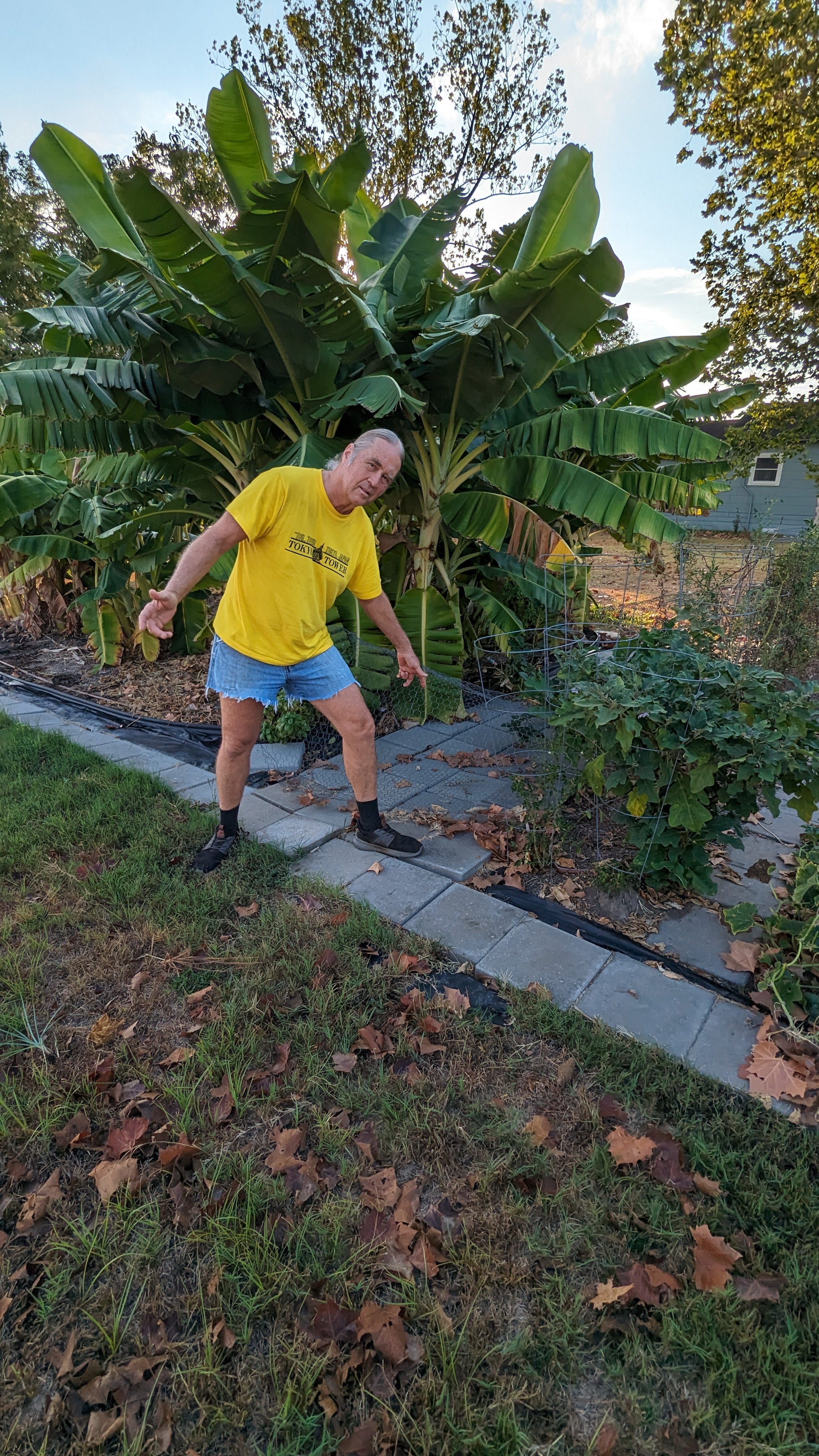 Air Force Maui Optical and Supercomputing (AMOS)