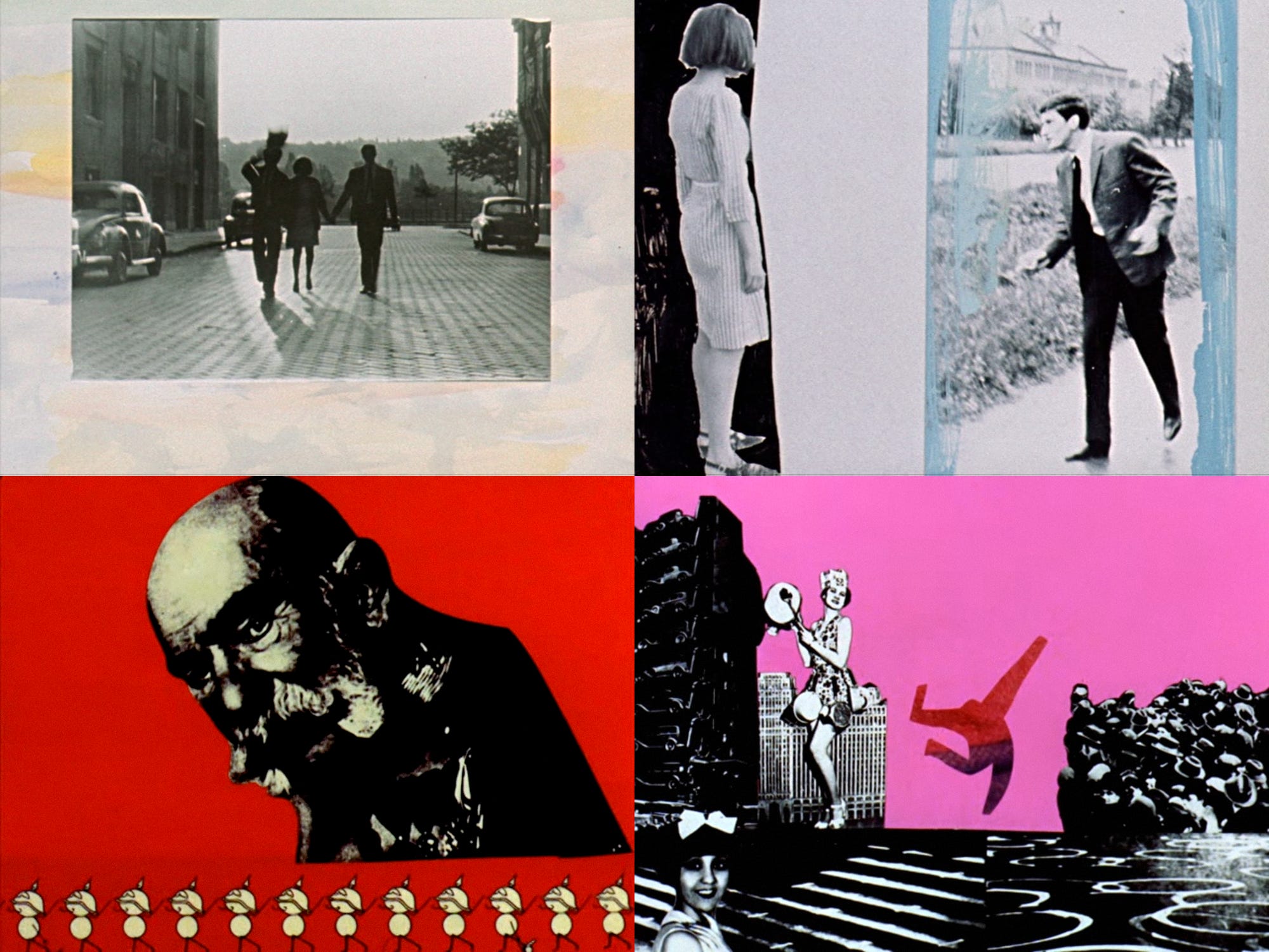 Collage Animators in Their Own Words