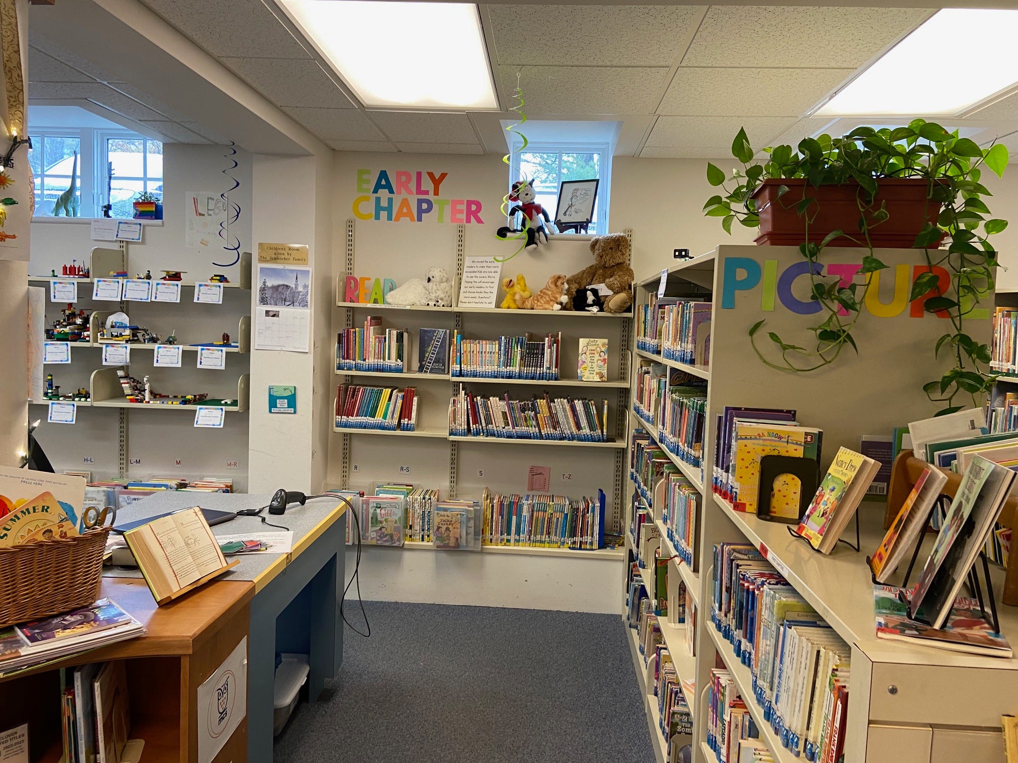 Meet Erin, the new Youth Services Librarian!