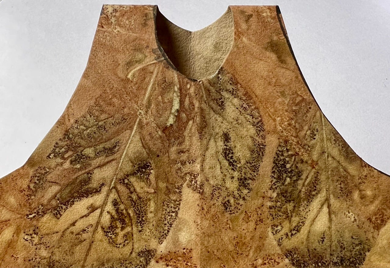 introducing the shapeshifter - by India Flint