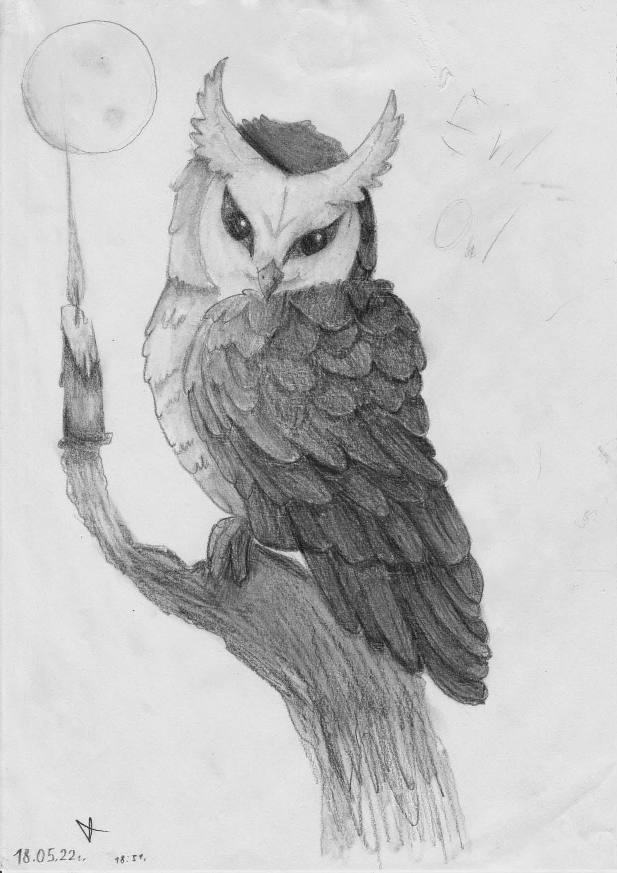 Evil owl - Kattla’s Art