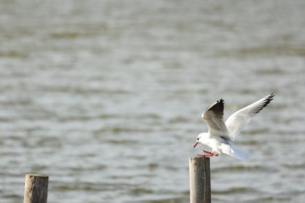 Smooth Landings: Debugging Deep Learning Models