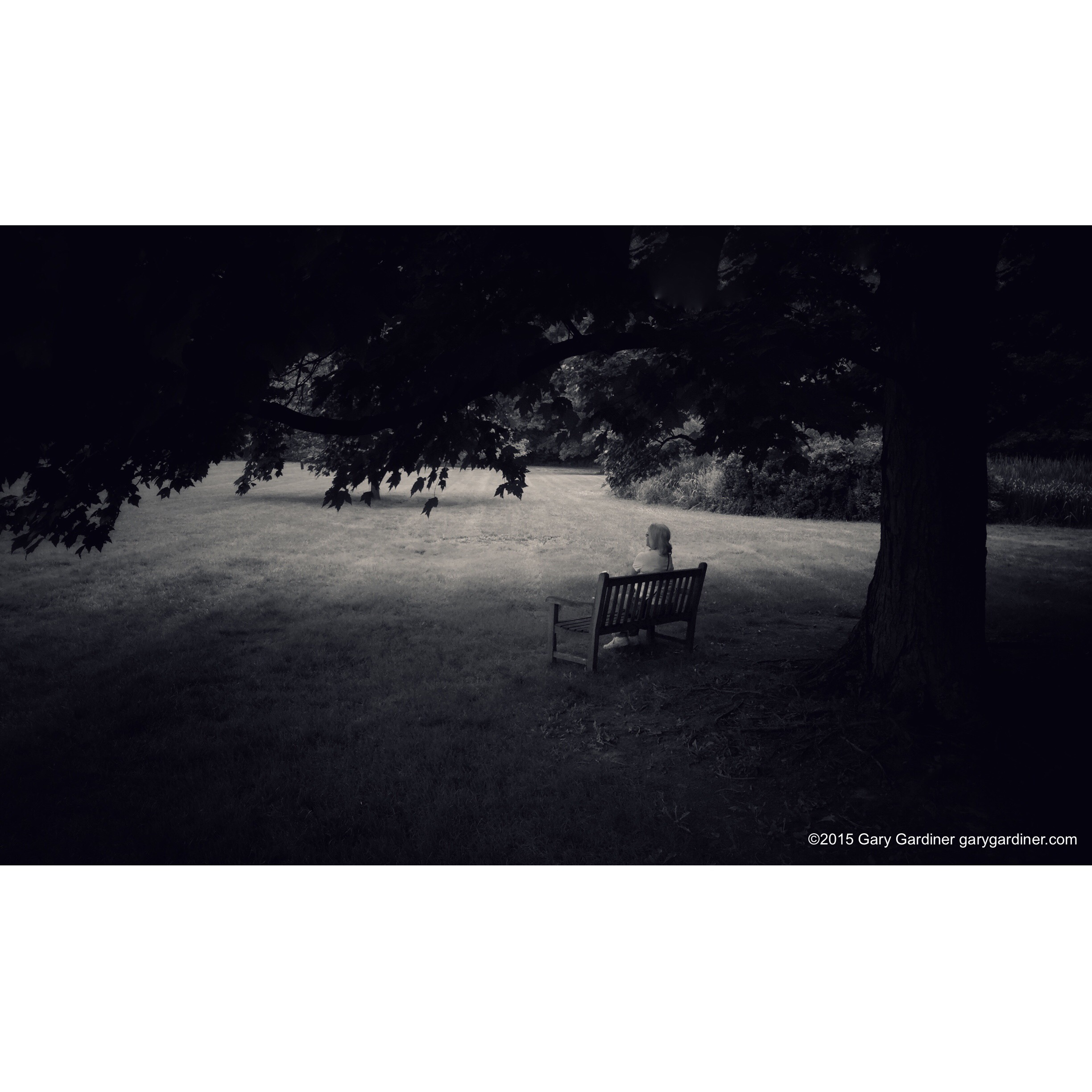 Light Your Way To Better Photographs - by Gary Gardiner