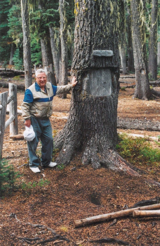 HISTORY COLUMN: Champion Trees - CC:Media Community News