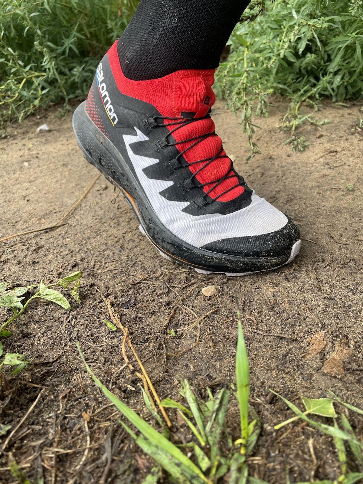 Salomon Pulsar Trail PRO Review - Boulder Gear Lab