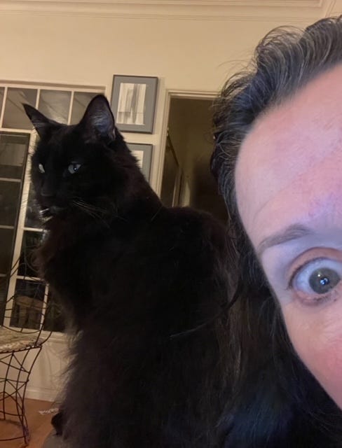 SUMMERRRRRRRRRR! - by Kate Maruyama - Kate’s Substack