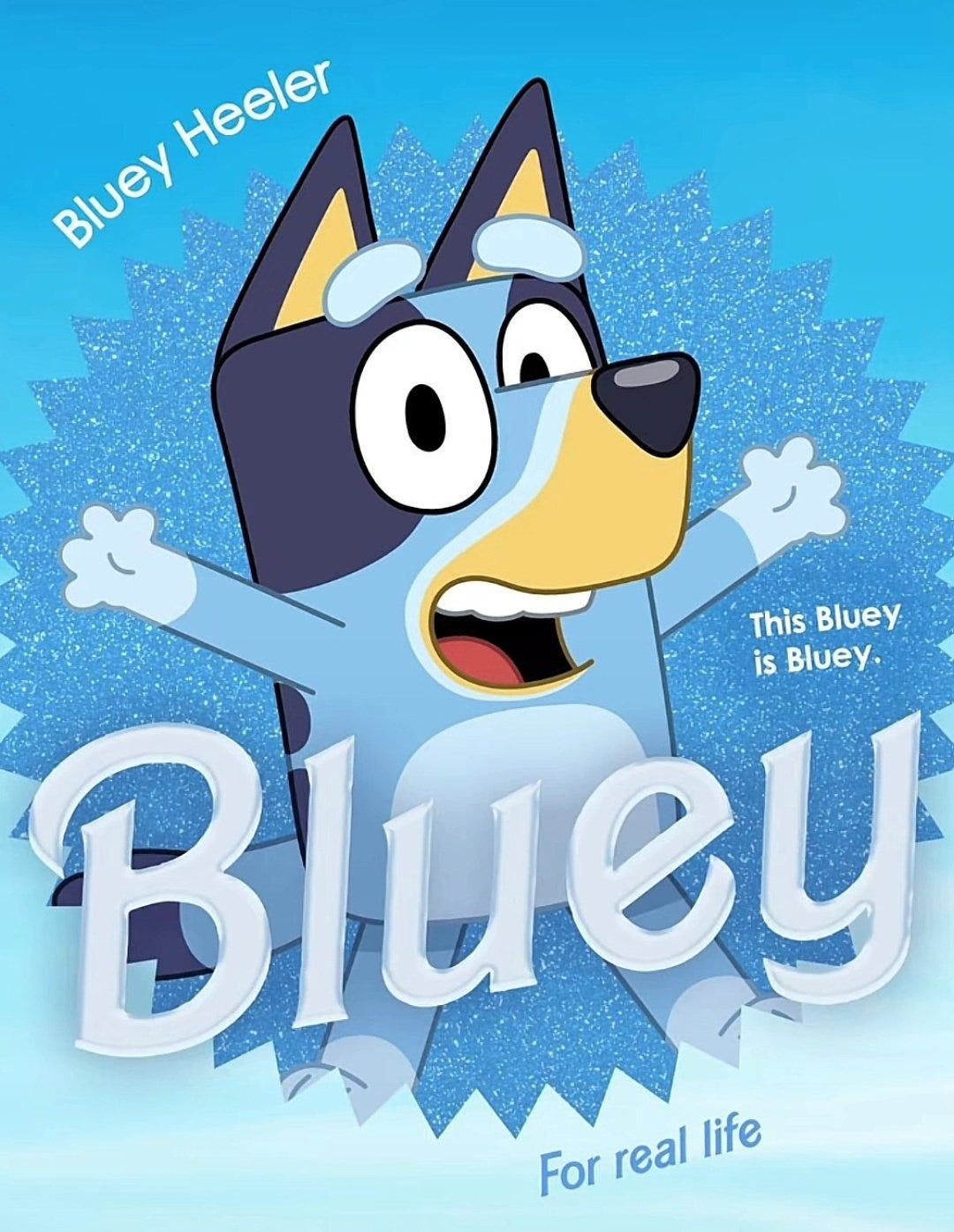 Bluey! - by Katie Clapham - Receipt from the Bookshop
