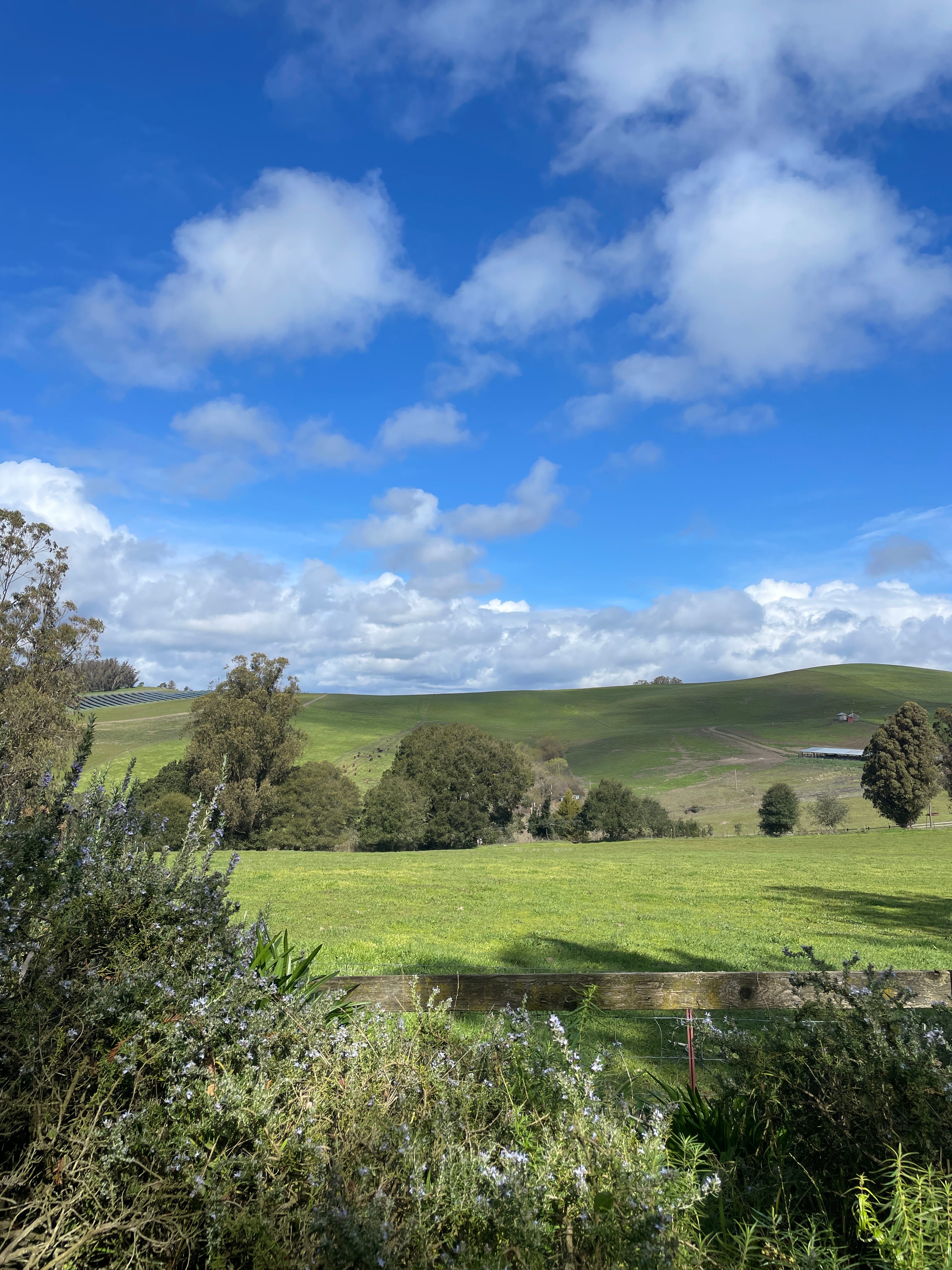 moments of sensuality - by Ev'Yan Whitney