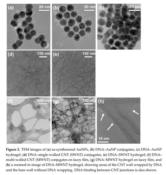 How To Create Self Assembled Nanocircuits aka Technological Devices ...
