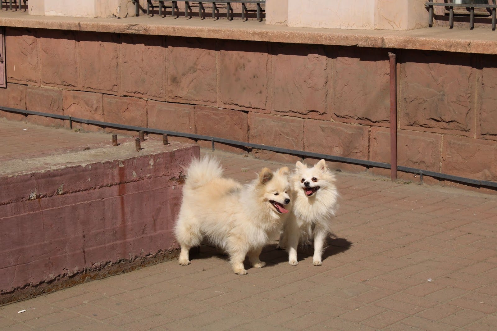 How DOGE scrapped the hunt for Ukraine’s missing children