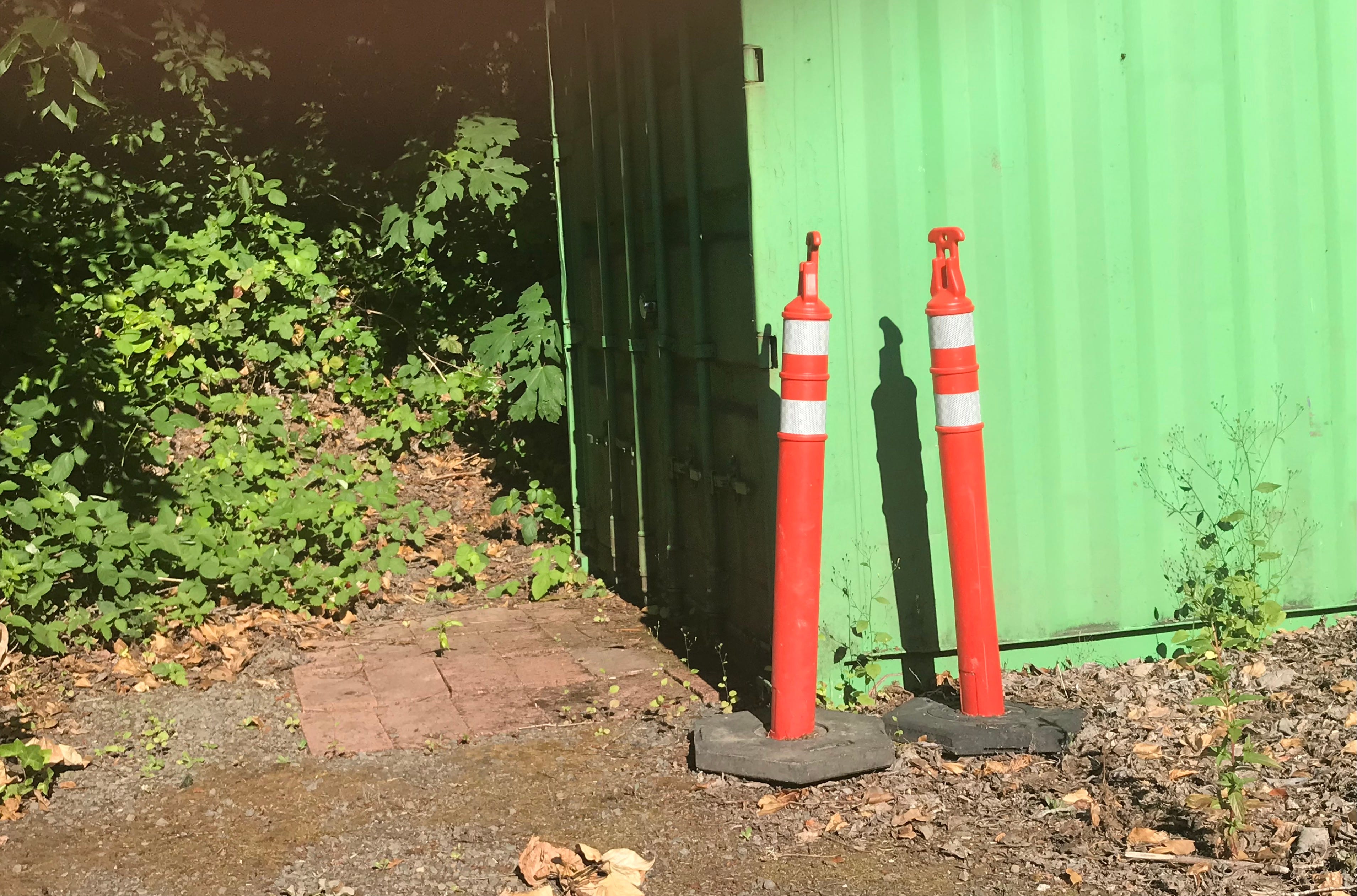 Remembering to see - by Fran Gardner - Becoming