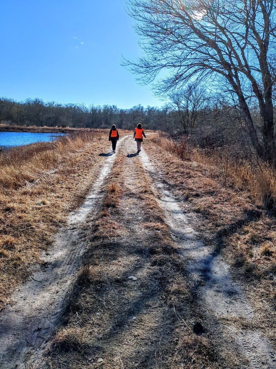 Great Swamp - by John Palmer Edwards - Jed Is Lit