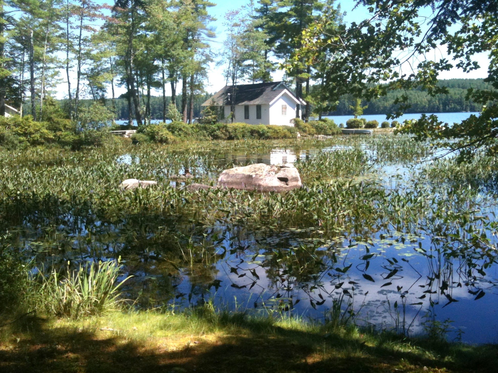 Placeholder - by Norma Schafer
