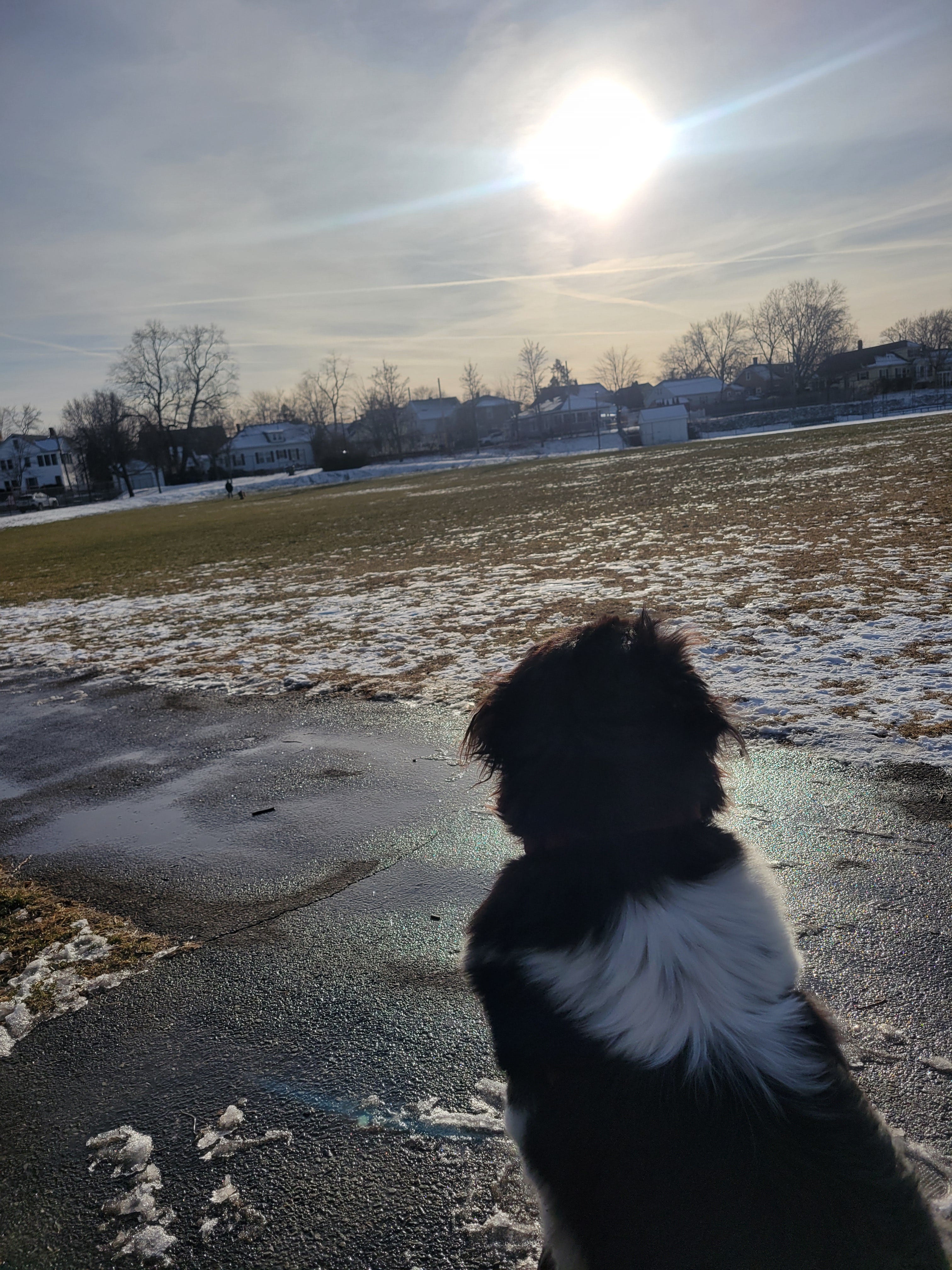 Hibernal Journal: #2 - Week 1 - by David M. Poff