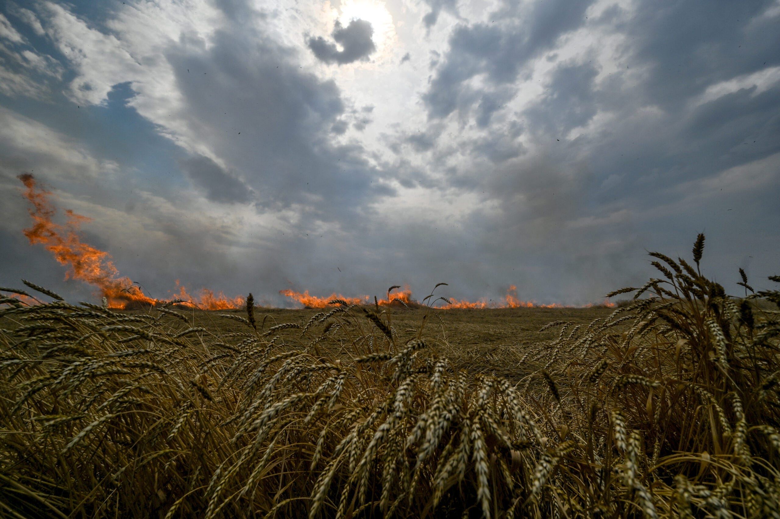 That Land Is Their Land - by Ralph S. Clem - The Bulwark