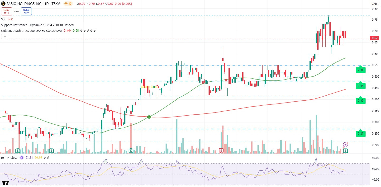 Sabio Holdings ($SBIO.V) FINS Review - by Wolf Of Oakville