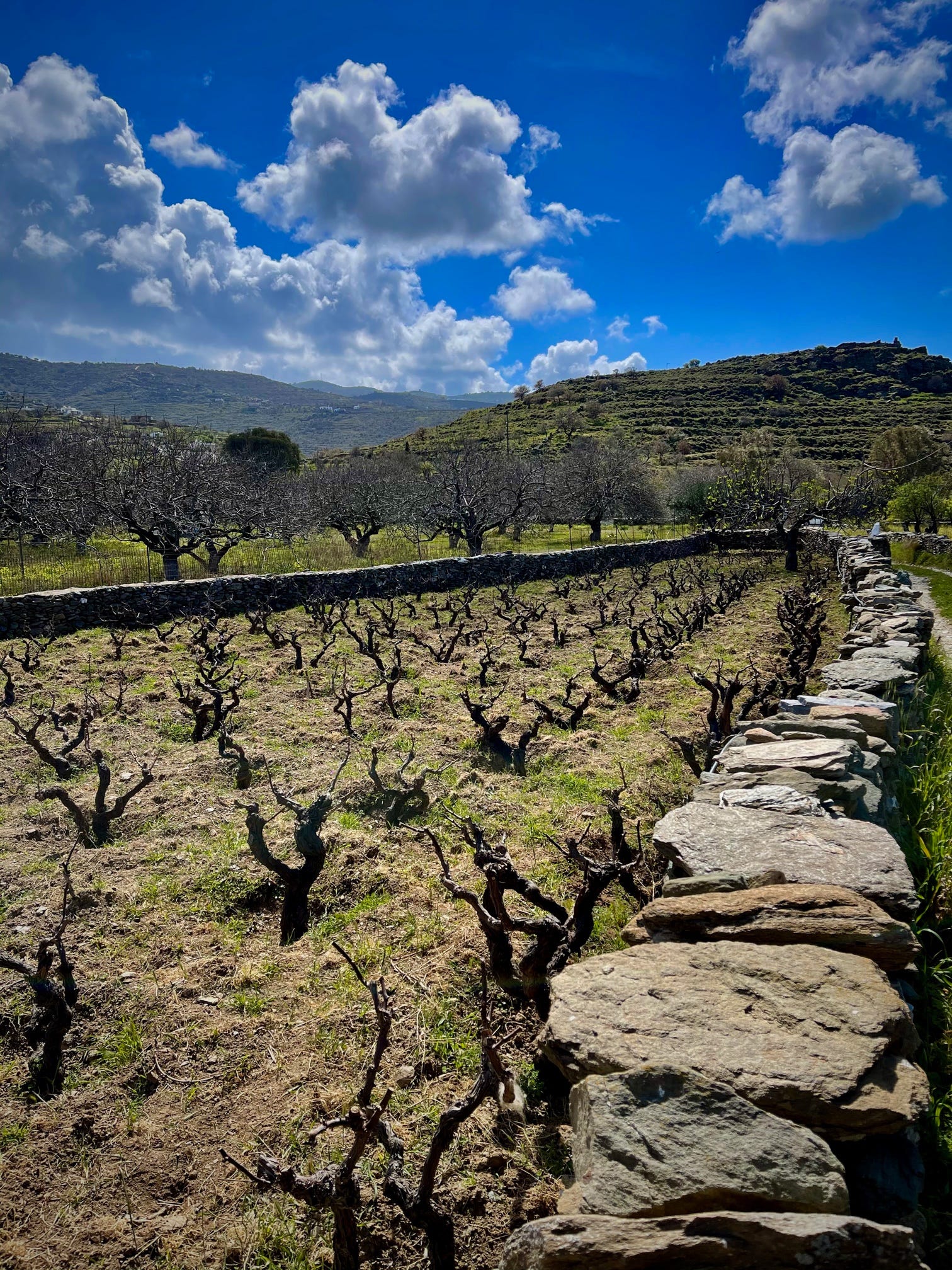 Scenes from our island - by Aglaia KREMEZI