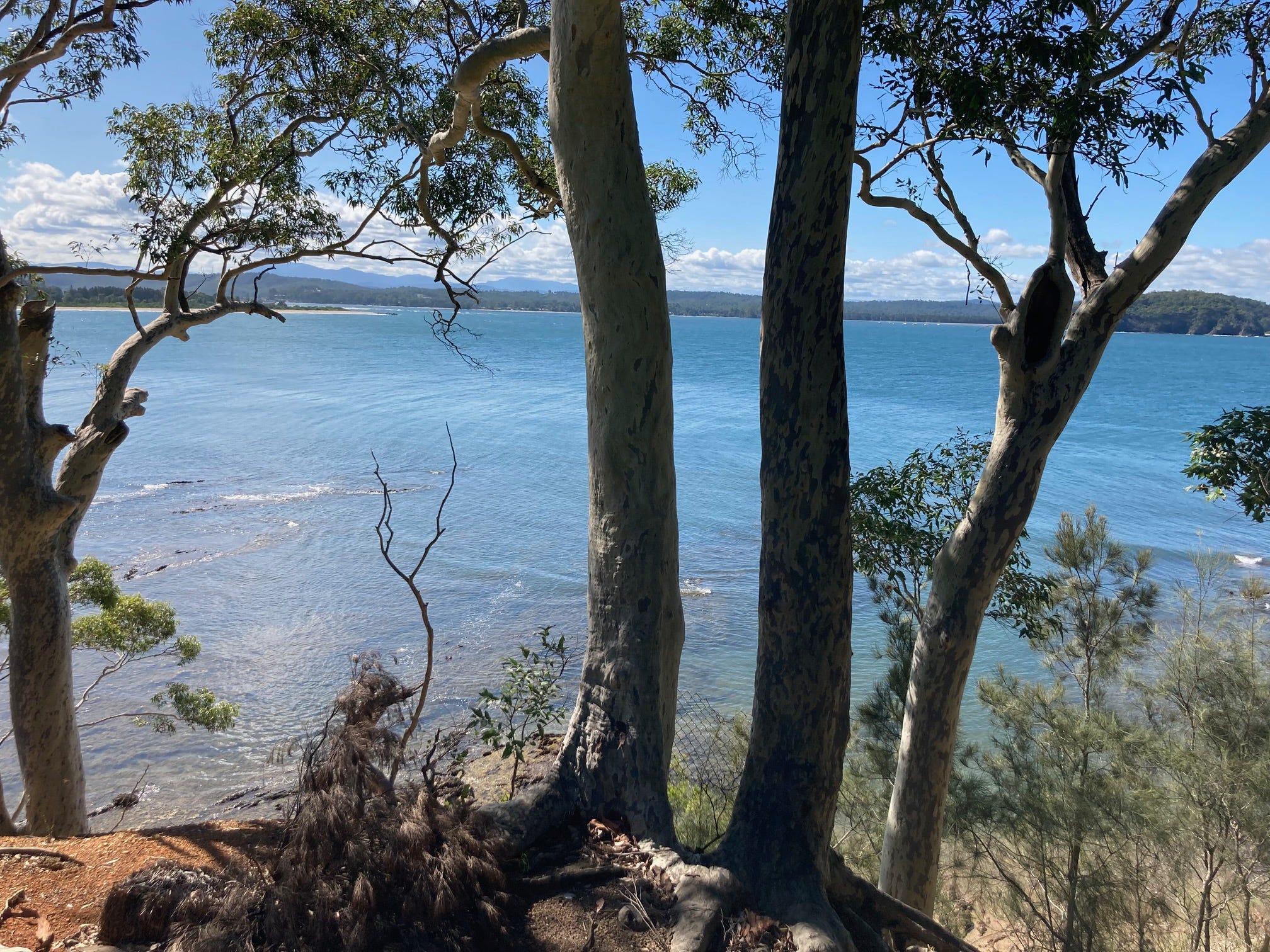 TRAVELLING SOUTH TO AWAKE COMMUNITIES