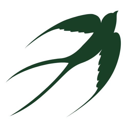 the art of distraction - The Murmuration by Grace Pengelly