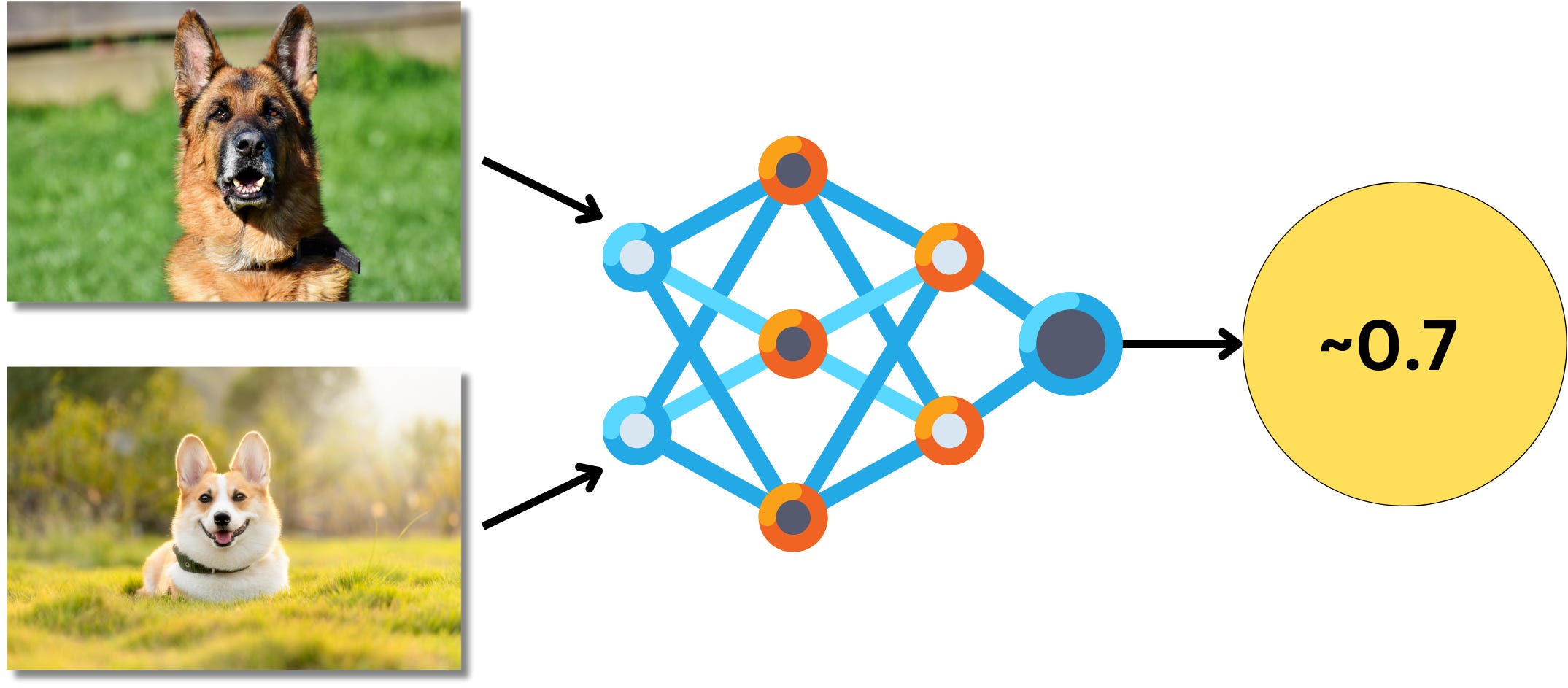 How to Build an Image Retrieval System like Google Images