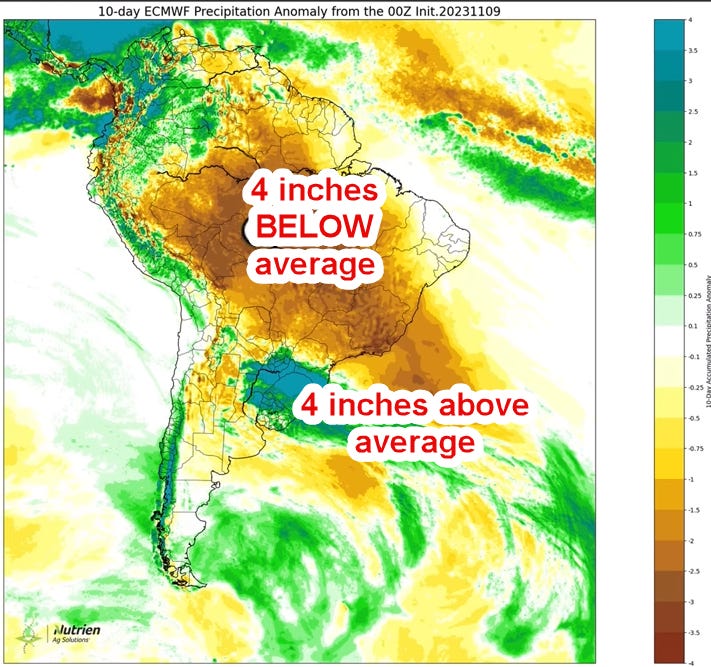 Rounding out the grains book - by The Blind Squirrel