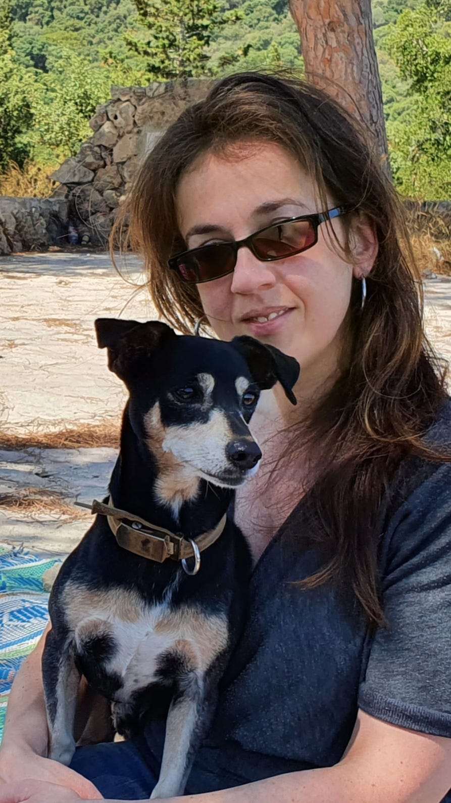 Forest Rain | Substack