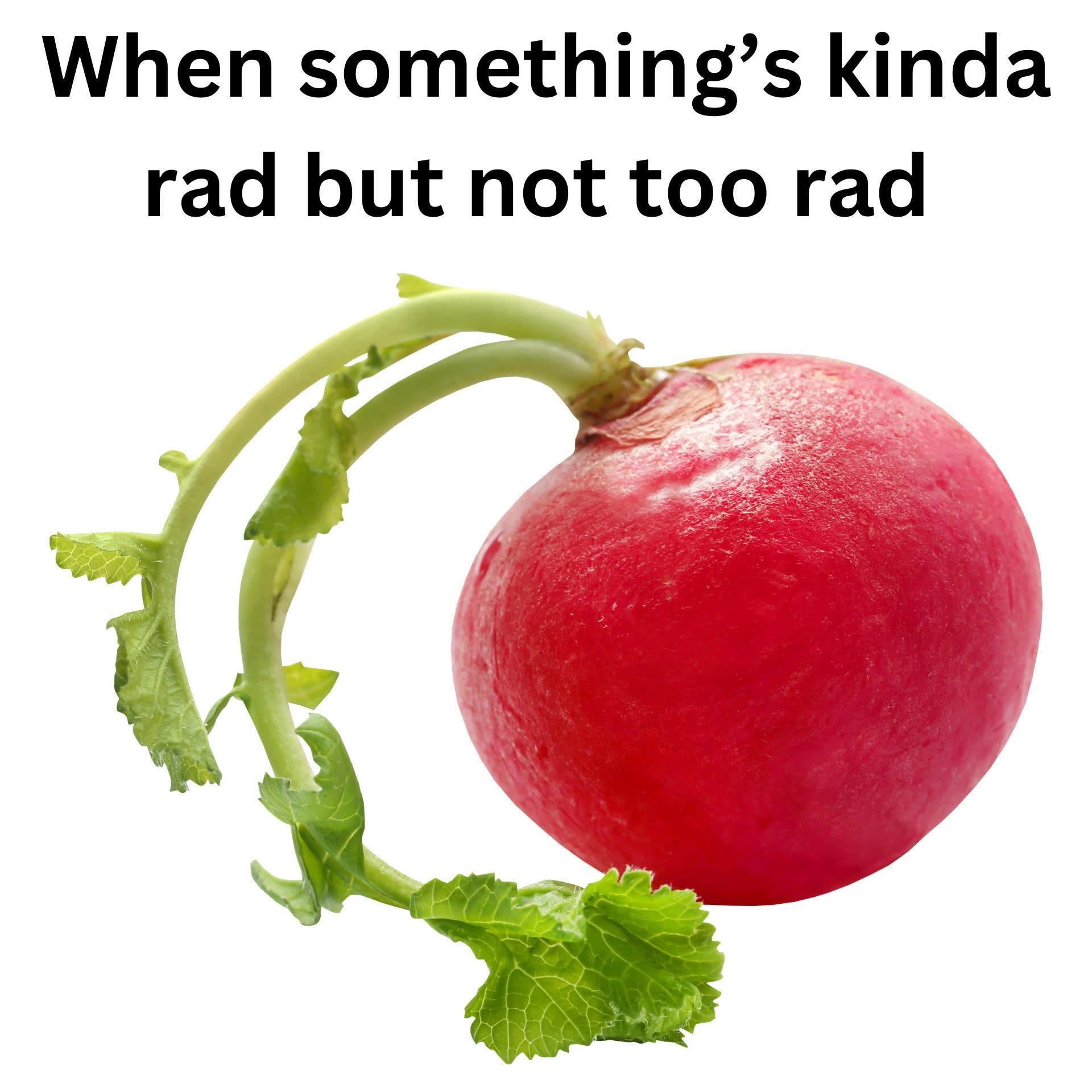 MONDAY MORNING MEME DUMP (in the evening) (#242)