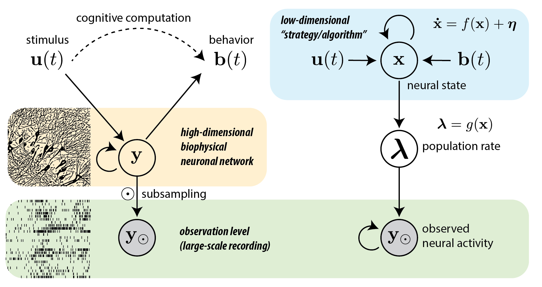 Developing tools to uncover the collective dynamics hidden within noisy brain activity patterns