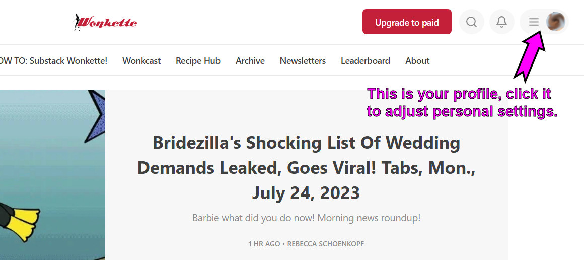 HOW TO: Substack Wonkette! - by Rebecca Schoenkopf
