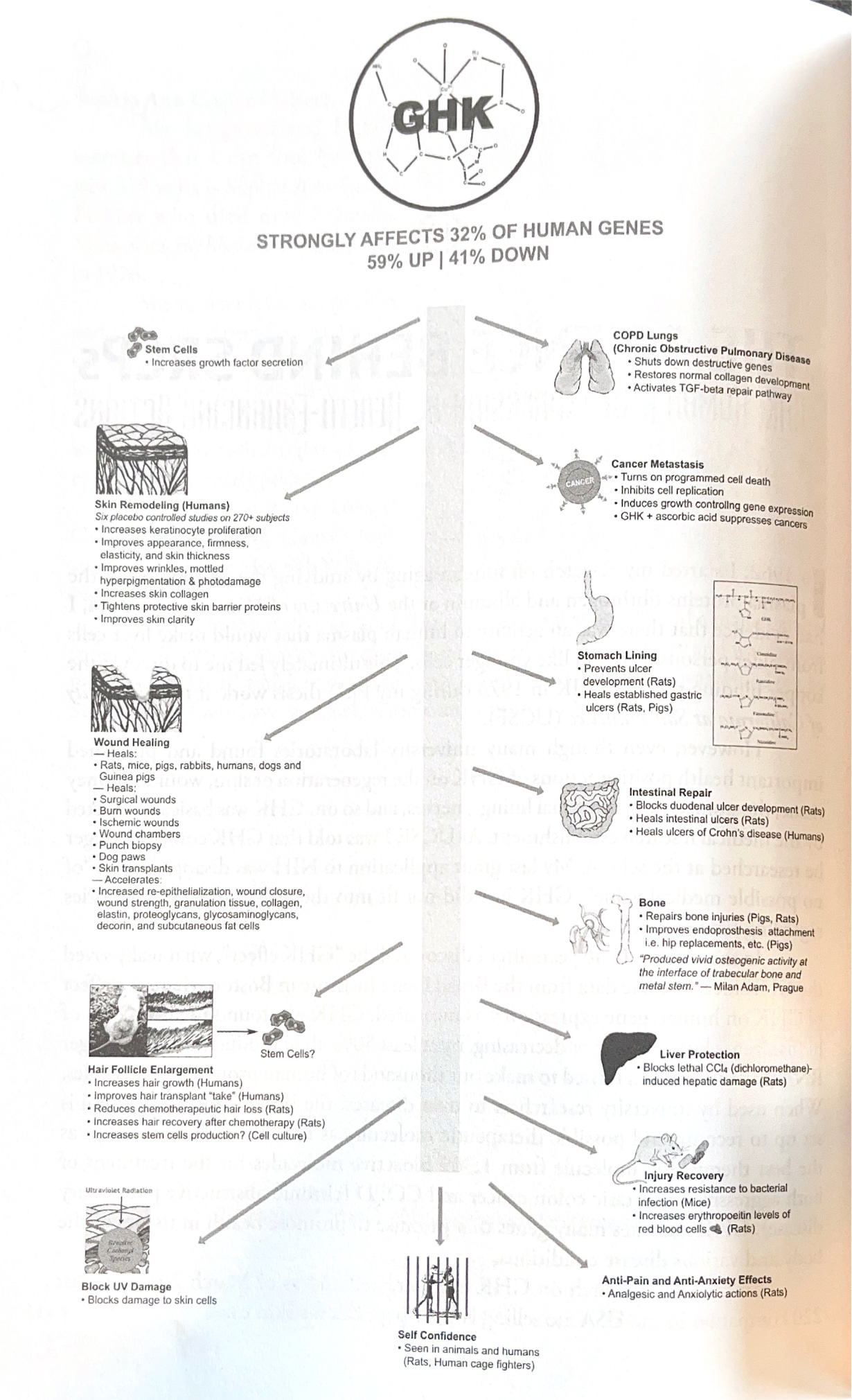 GHK Copper: The Peptide I’m Most Excited About (And Skin Care Companies ...