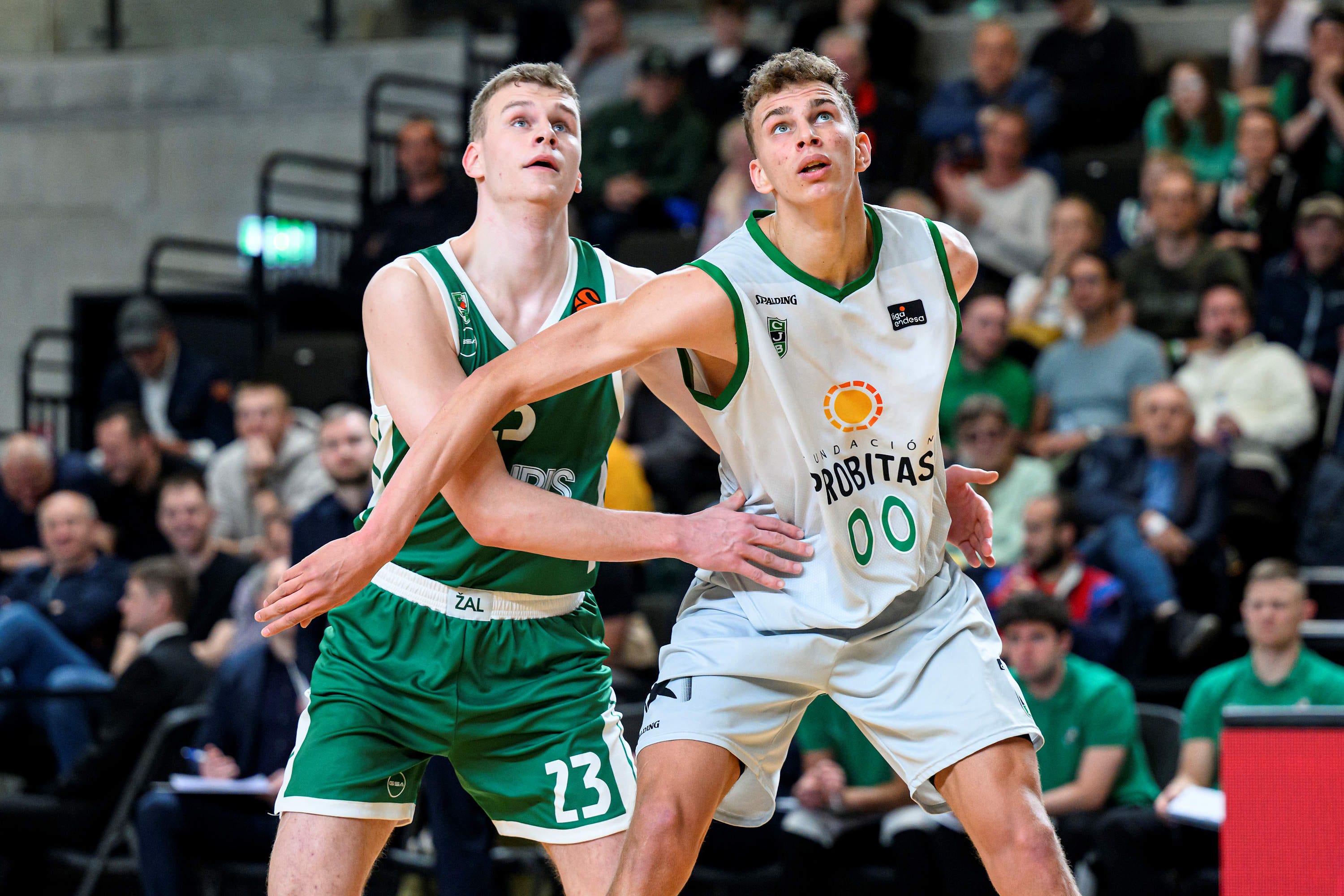 🏀 Rúben Prey mostra por que razão é apontado à NBA