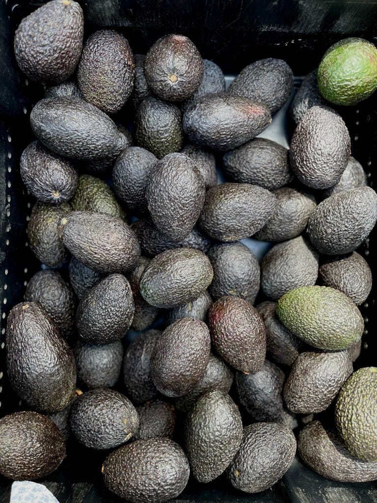 That Lengendary Hass... - by Sam Rogers