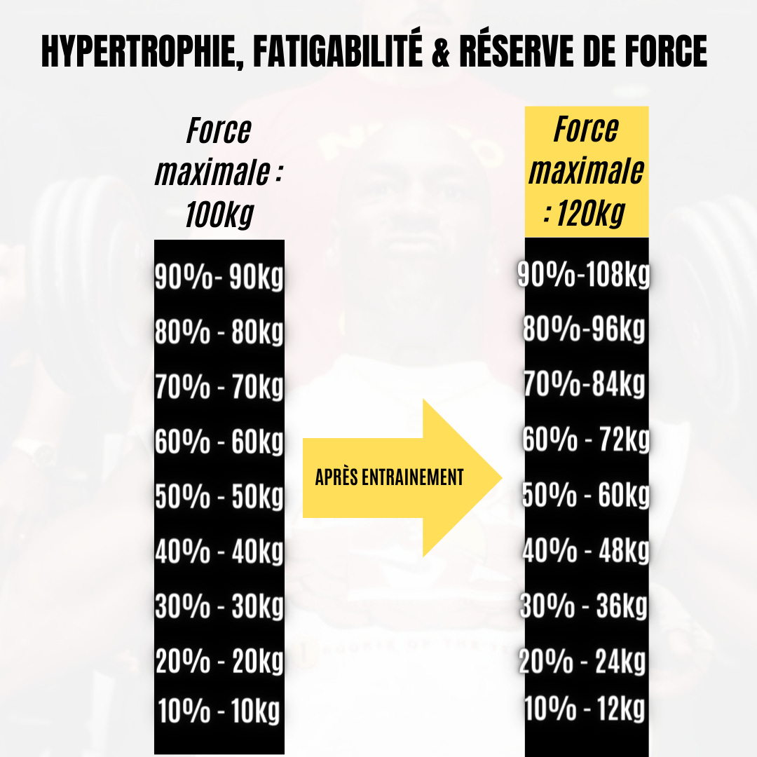 Pourquoi améliorer sa force maximale ? - by INEX TRAINING